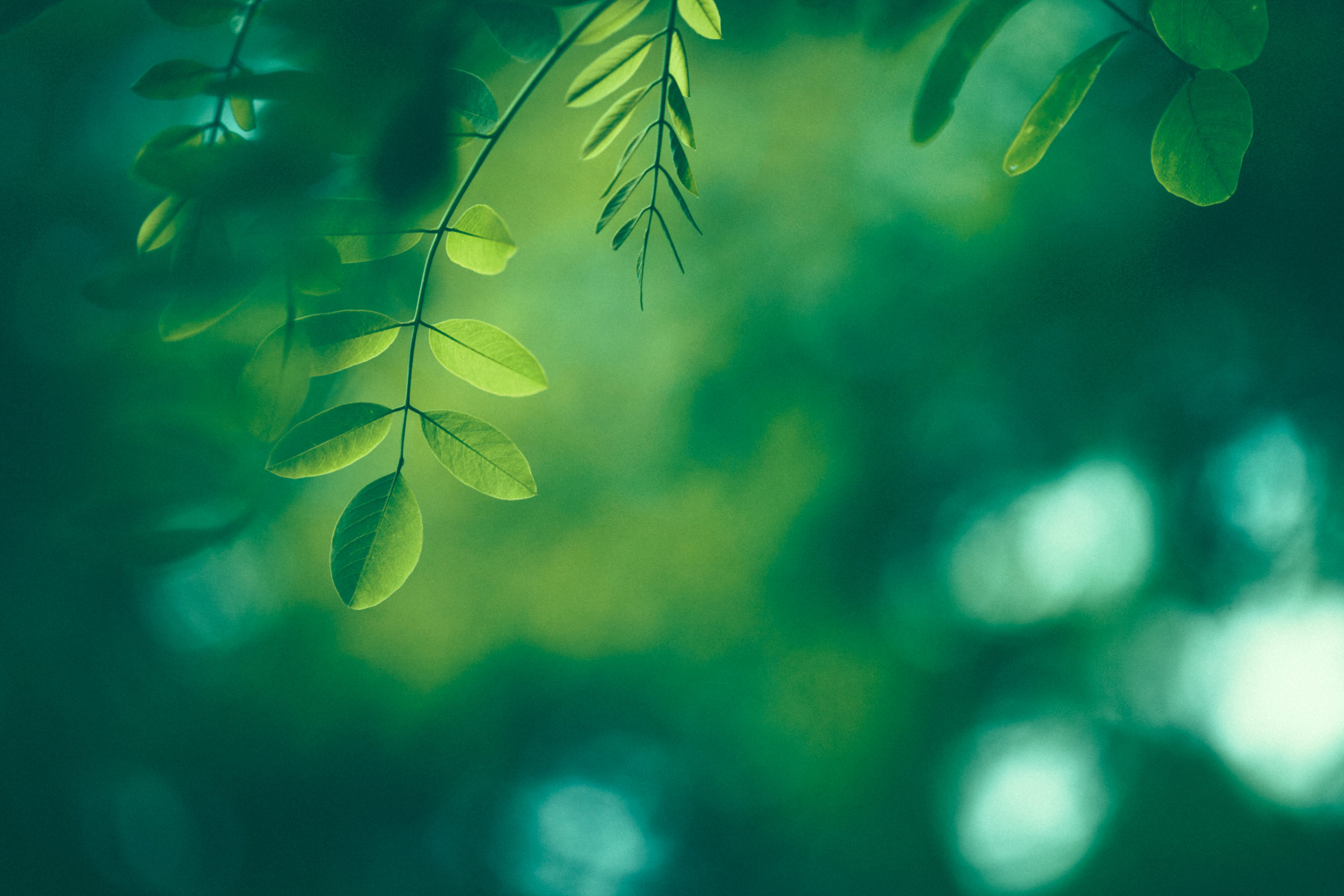 BPI unveils innovative Product Carbon Footprint tool - Bramming Plast ...